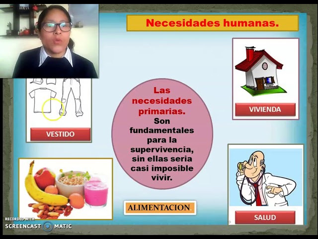 CLASIFICACIÓN de NECESIDADES: PRIMARIAS y SECUNDARIAS