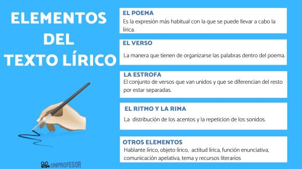 IMBERBE: Significado, Definición y Usos Importantes