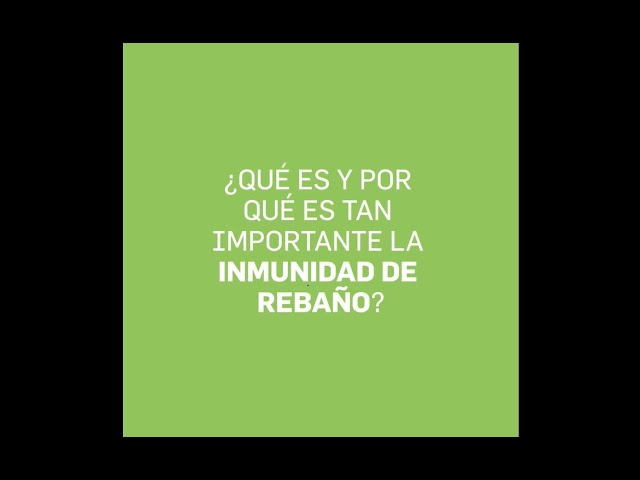 QUÉ ES una GEMA Definición y Características Clave