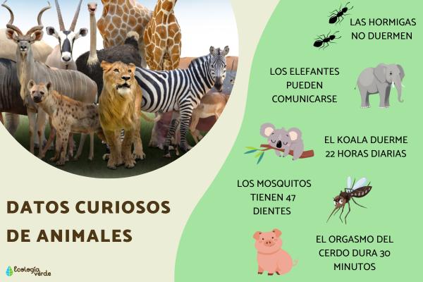 Ciencia: QUÉ ES, CARACTERÍSTICAS y ORIGEN Revelado